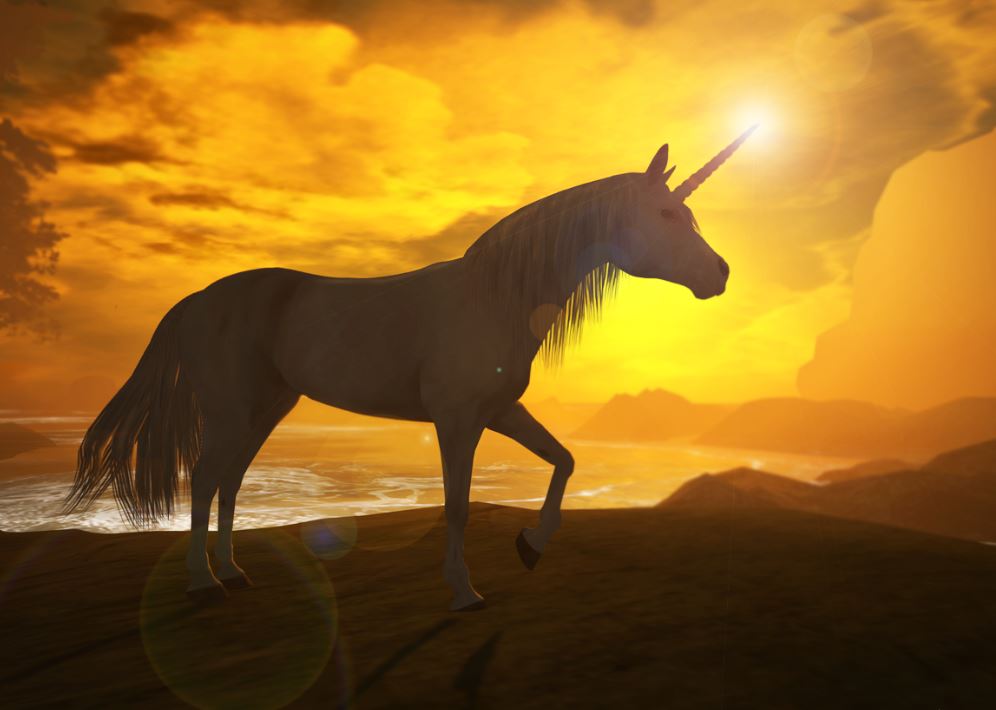 16. Licorne - # Les Neuf Dimensions - Article - Flamme